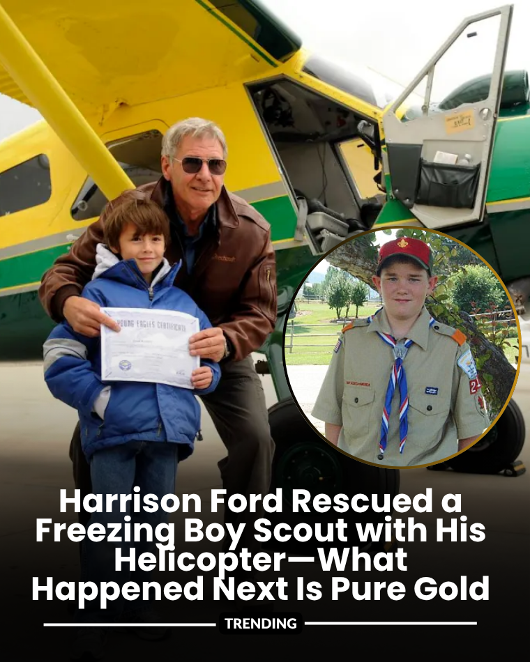Harrison Ford Rescued a Freezing Boy Scout with His Helicopter—What ...